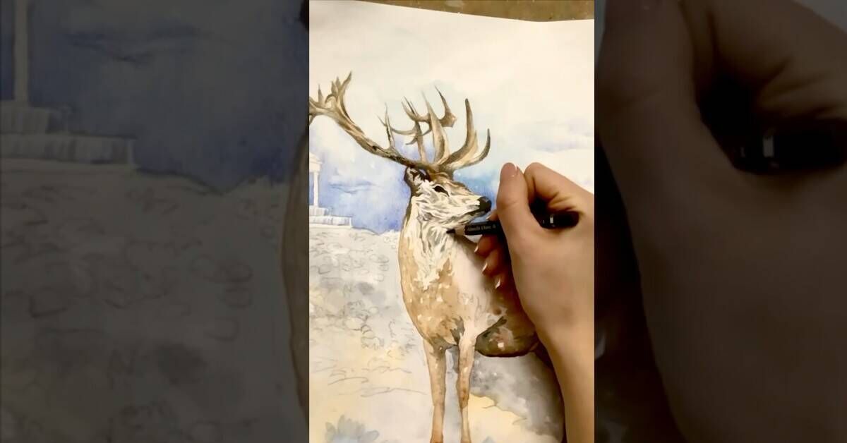 Магия акварели: оживляем оленя на бумаге - 30.09.25 16:06 | Пикабу