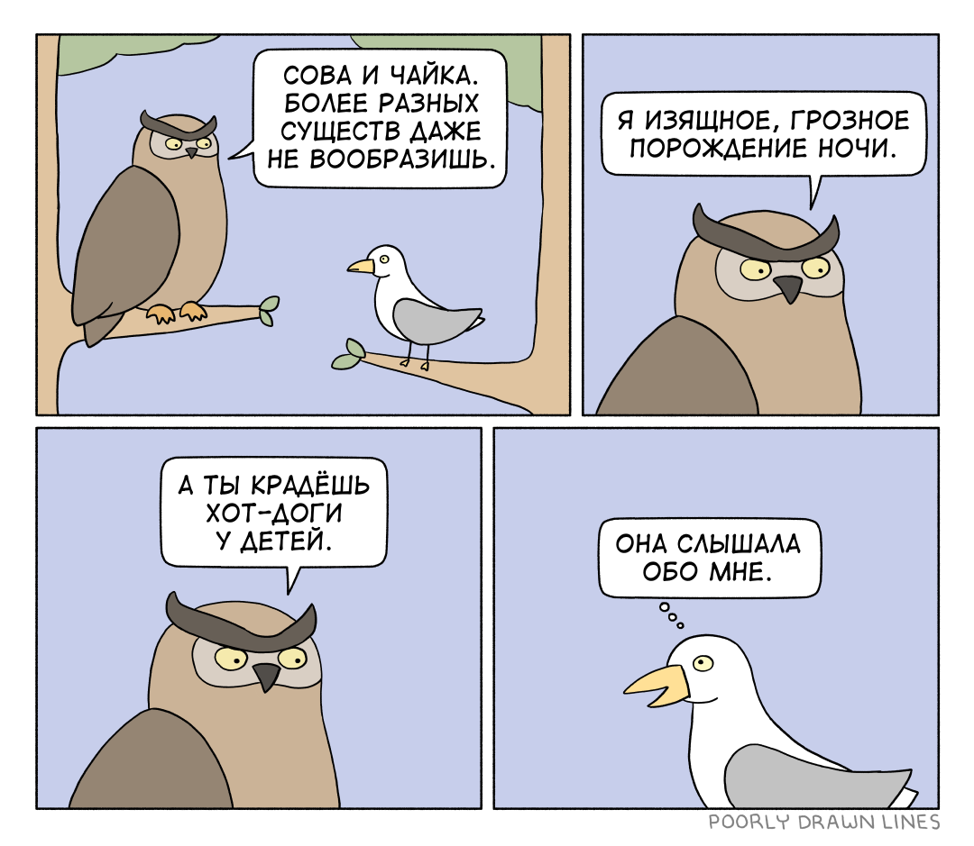 Сова и чайка - 30.09.25 20:06 | Пикабу