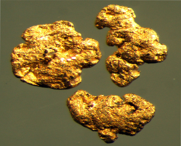 Самый крупный приморский золотой самородок - 03.10.25 06:27 | Пикабу