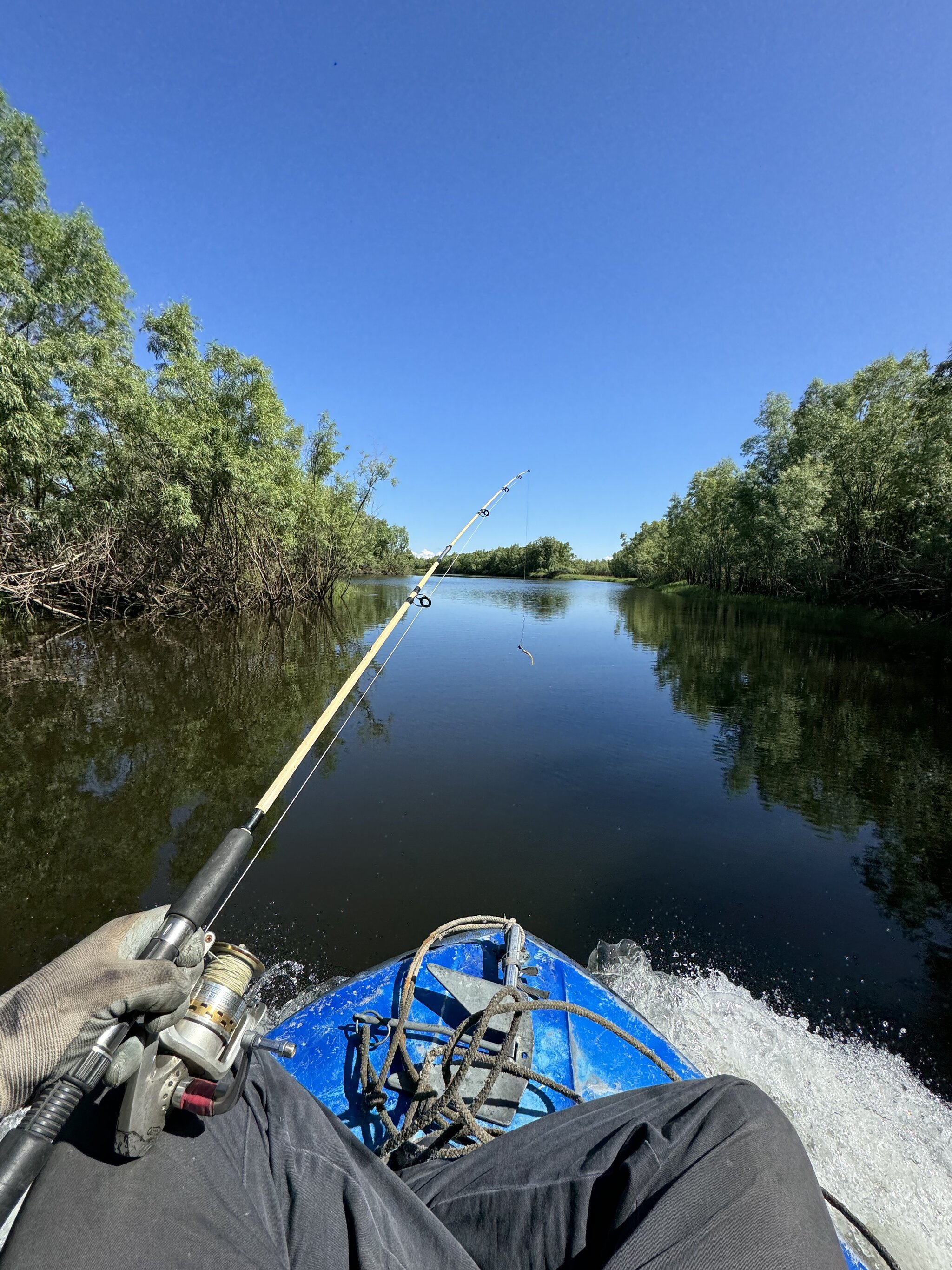 Что-что, а вот рыбалка у нас прекрасная! - 23.12.25 17:01 | Пикабу