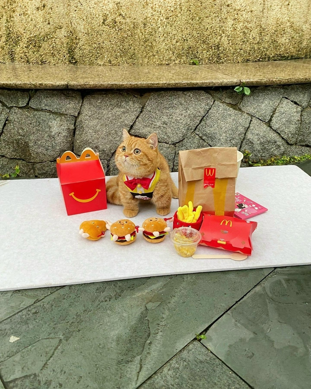 Самая лучшая игрушка Хэппи Мил - 25.12.25 07:18 | Пикабу